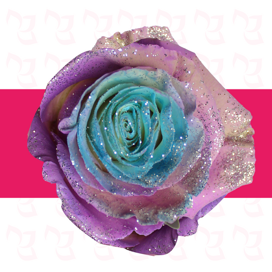 TINTURED ROSES – FlowerVision