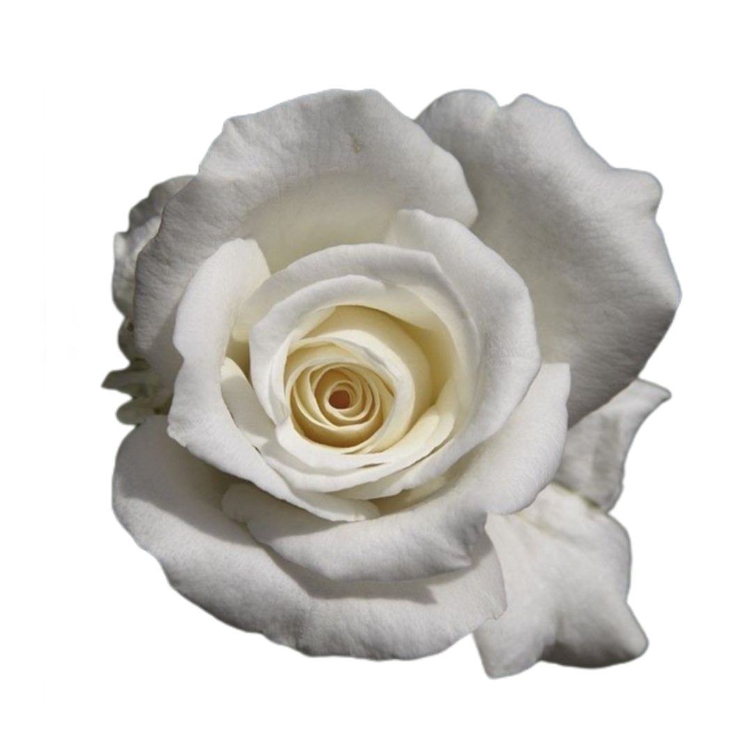 Products – FlowerVision