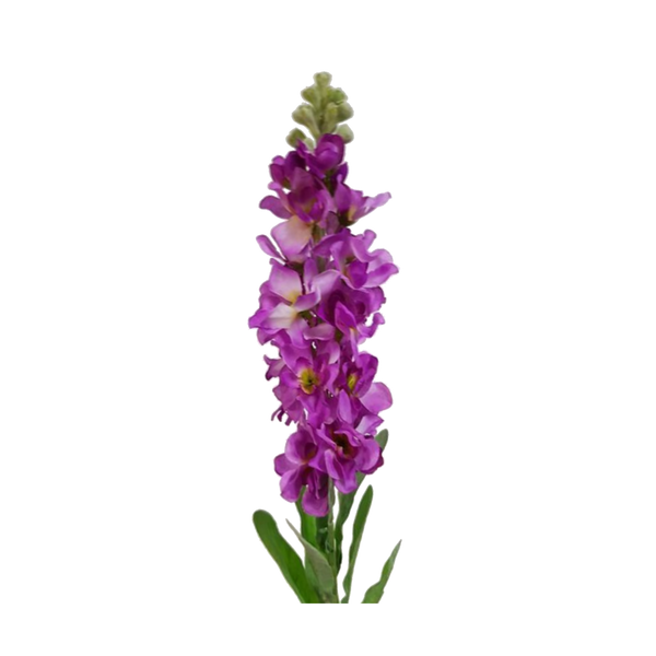 Purple Stock – FlowerVision